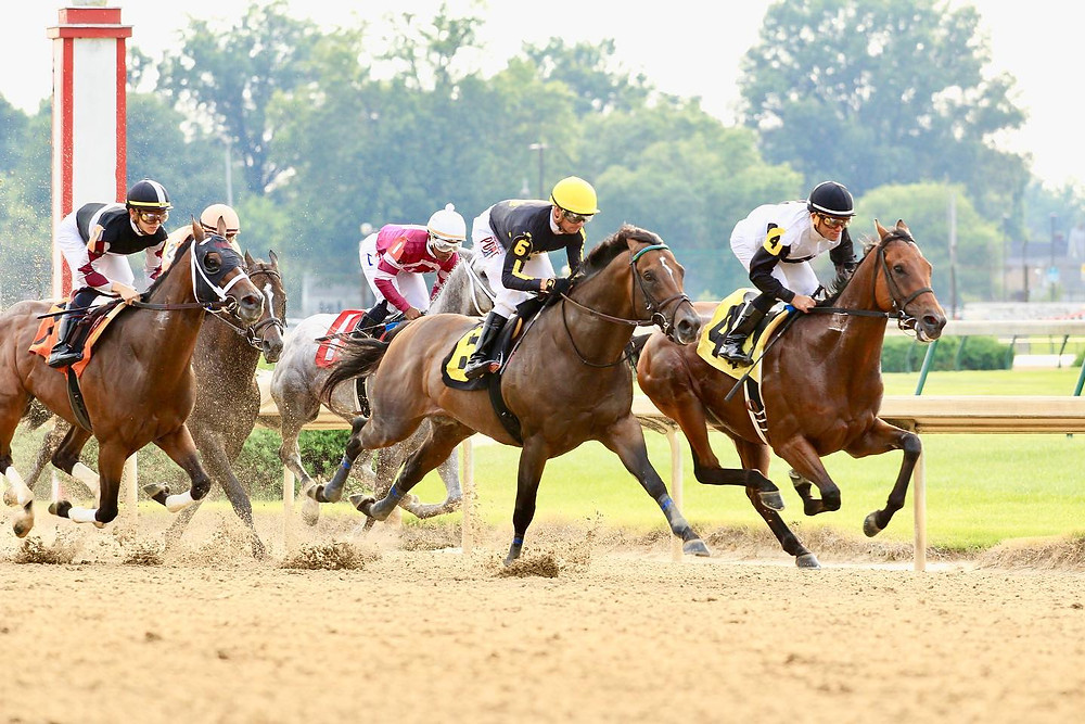 6 Reasons Why You Should Attend Live Horse Racing