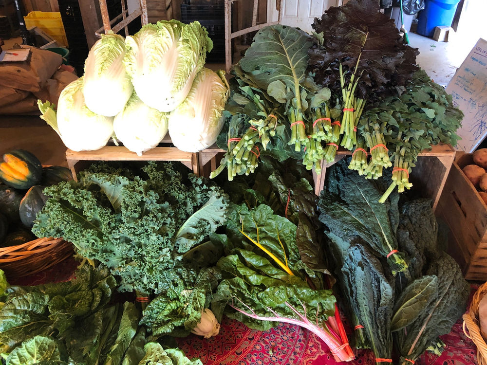 Week 19: Ward Off the Vampires