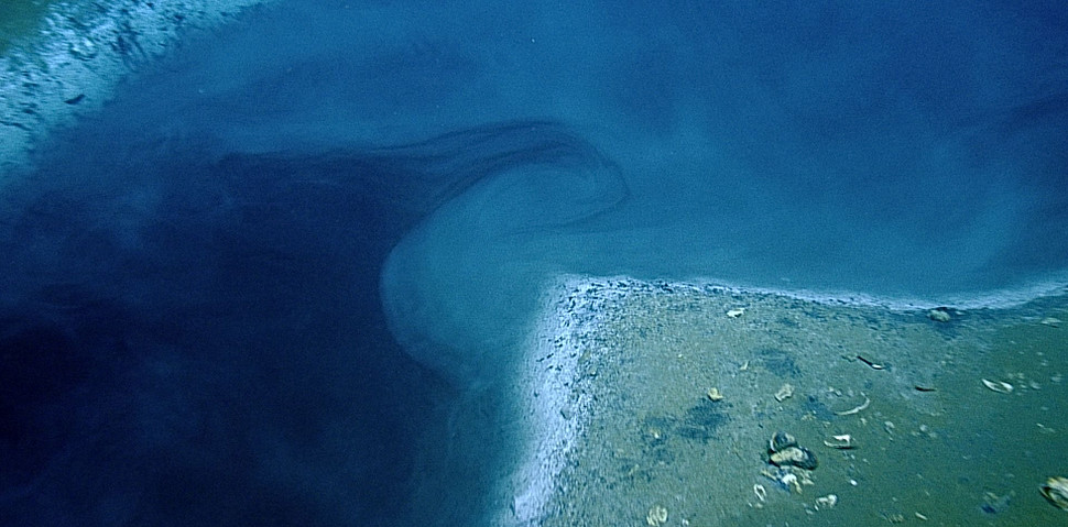 Brine Pool Ecosystems Explained | Natural World Facts