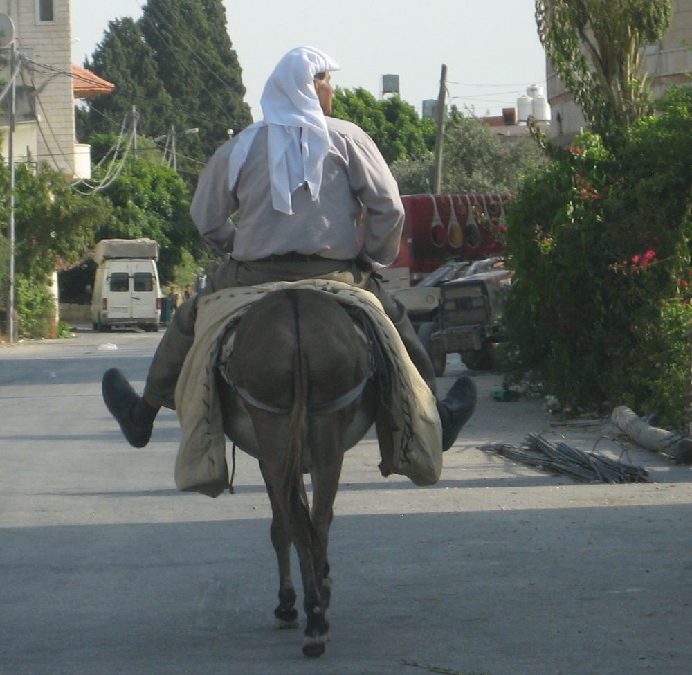 Story of Samaria 2: Samaritans Are Still Alive