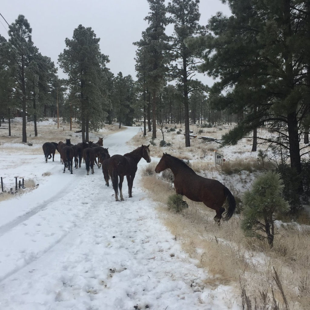 Home | Steven G. Hightower Author