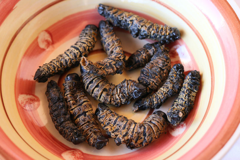 Amasonja (mopane worms)