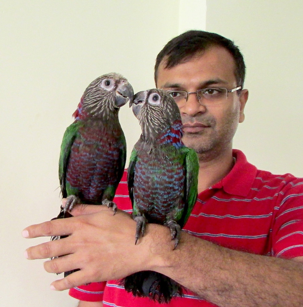 Revolutionised Animal Management Software System revolutionised-animal-management-software-system