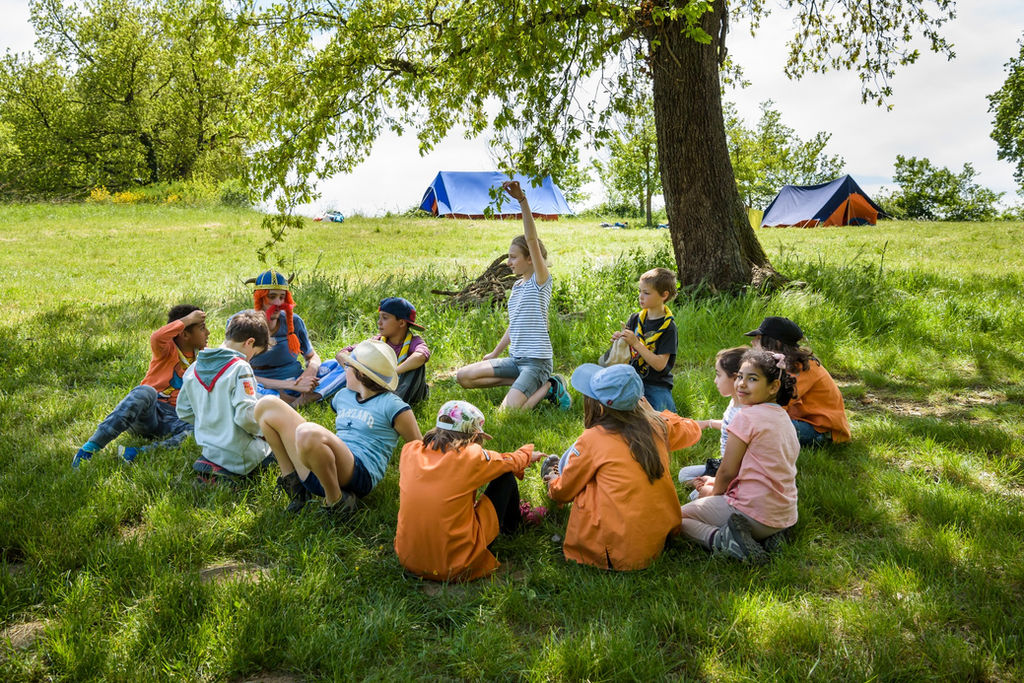 Actualité | Scoutisme Français