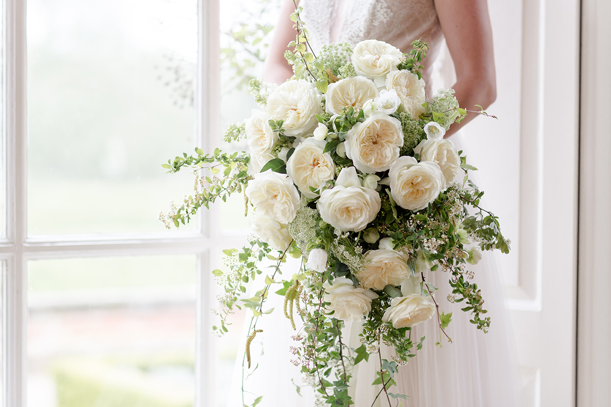 Introducing a New Wedding Rose Called Ella from David Austin