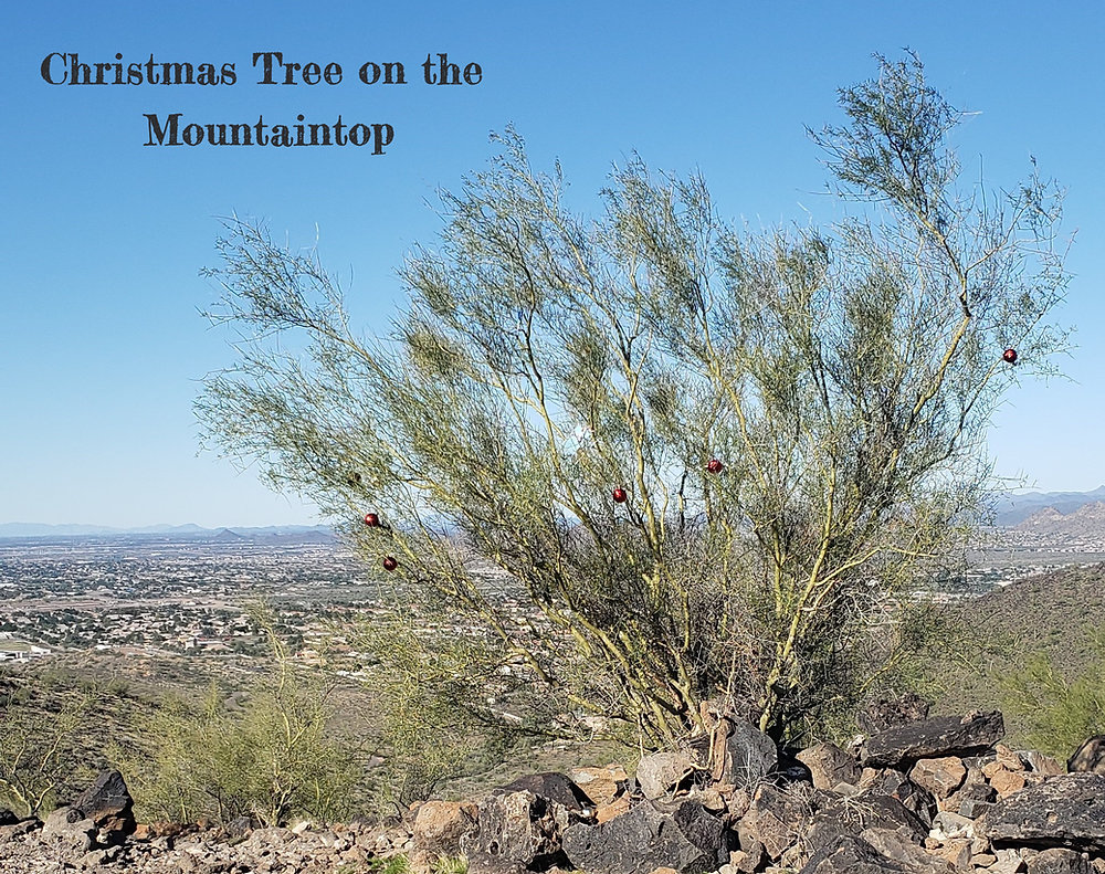 Christmas in the Desert