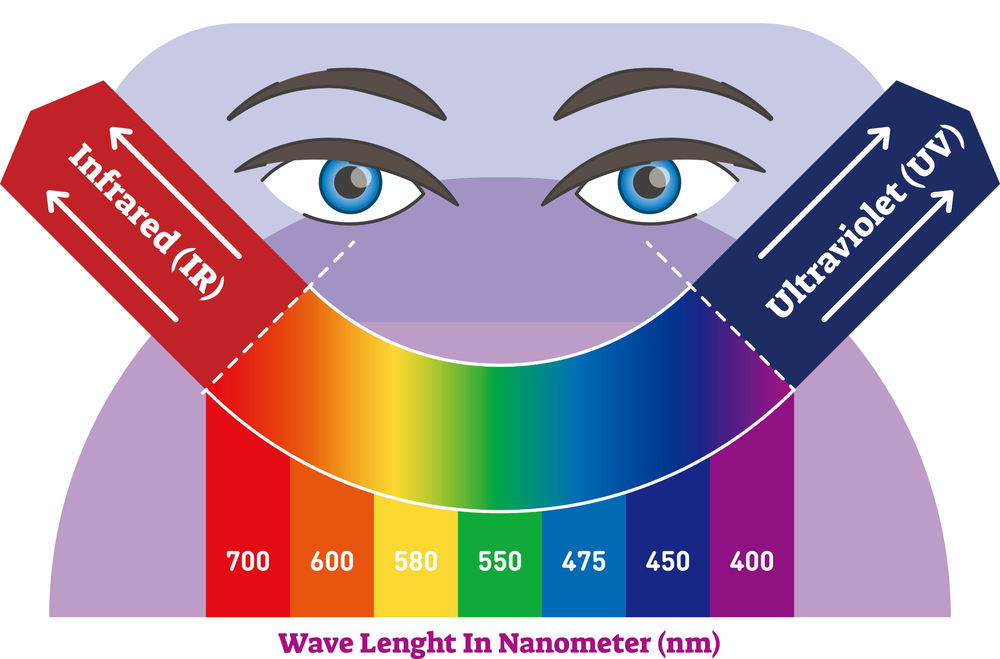 Why it is so important to have a pair of Anti-blue light eyeglasses