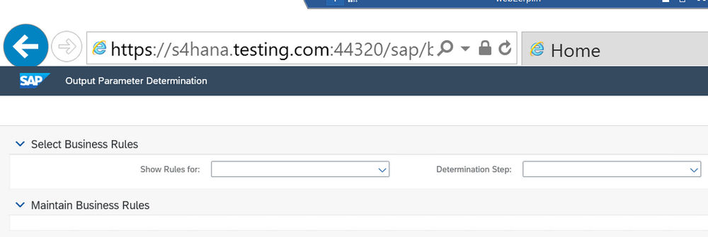 SAP FIORI - Output Parameter Determination selection empty | Gaurav ...