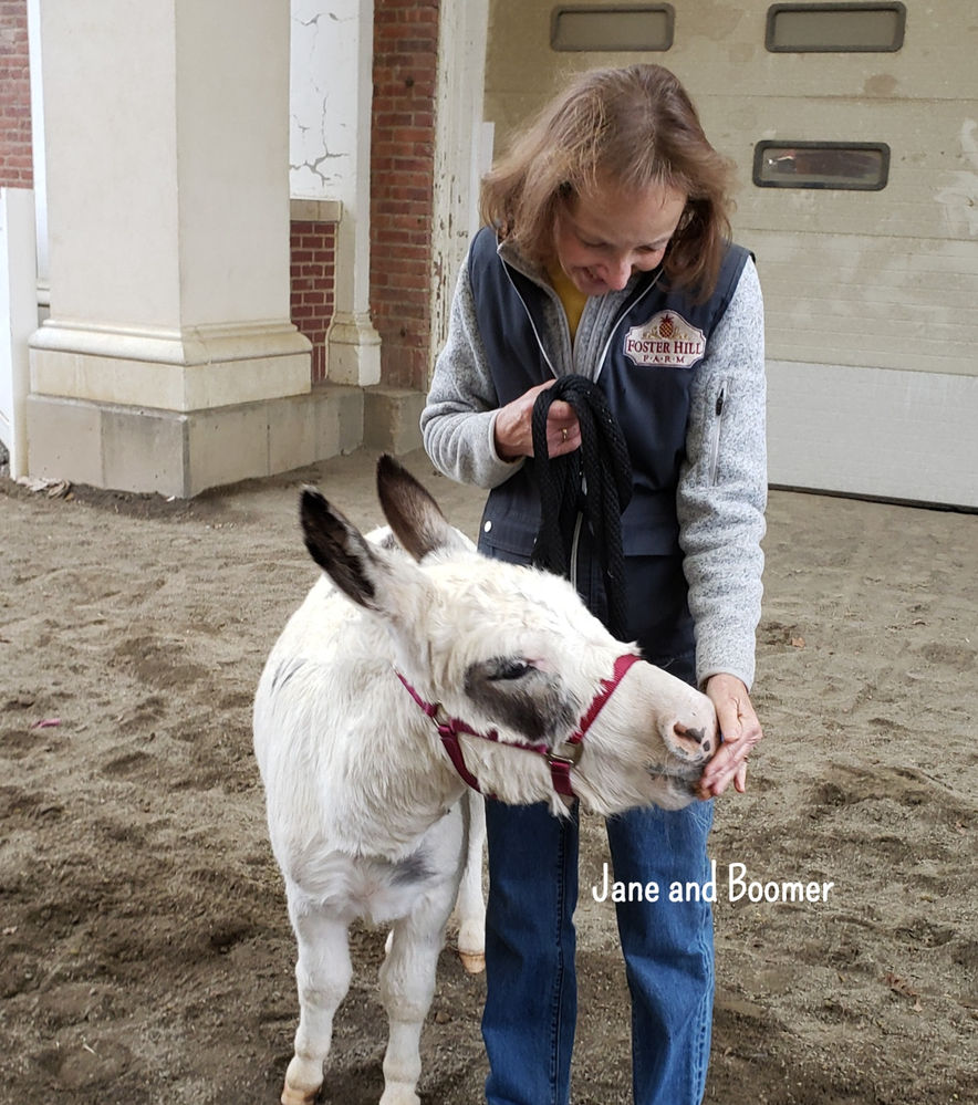 Unexpected Benefits of Raising Donkeys
