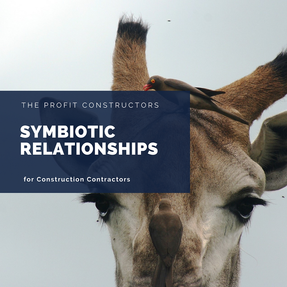 Symbiotic Relationships in Business