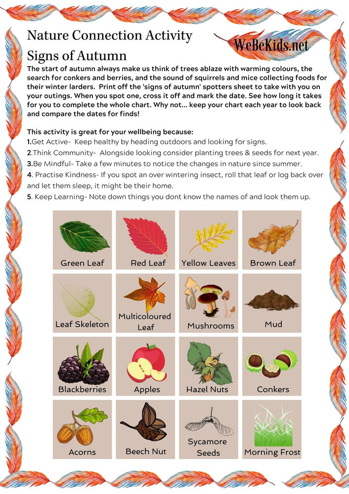 Nature Connection Activity - Signs of Autumn Search | We Be Kids