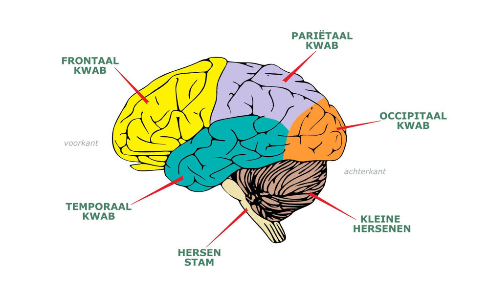 ''Creativiteit en het brein!''