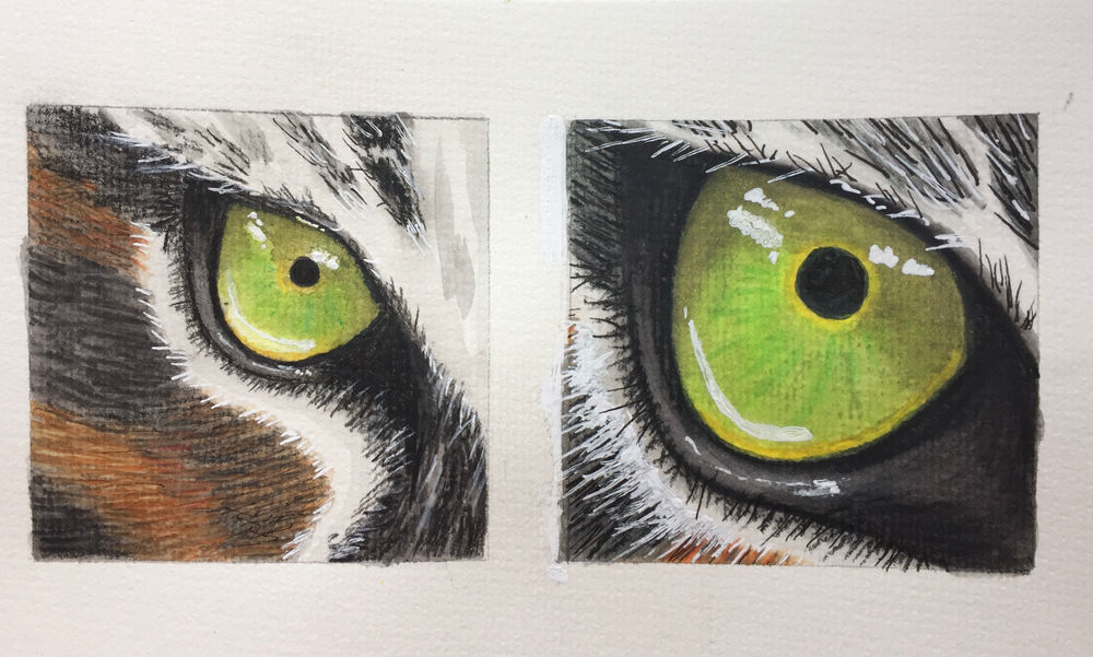 A close up study | Art with Tricia