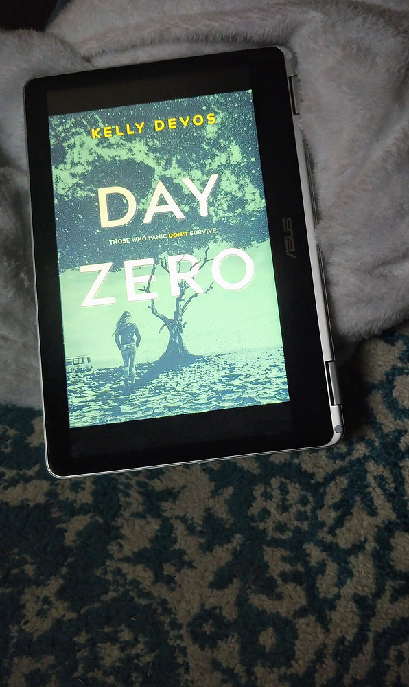 Day Zero by Kelly DeVos