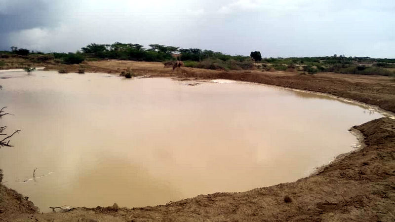 Water Holes It Is!!!