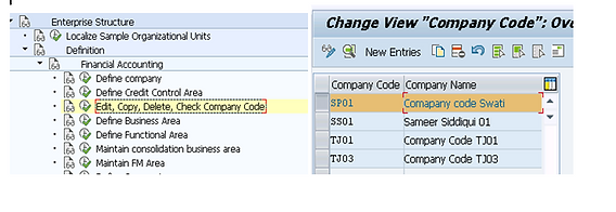 enterprise company code