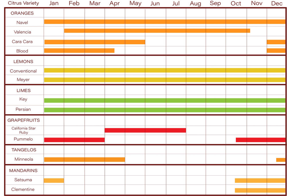 Learning about Citrus Family