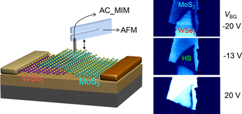 [JNN] Visualization of Local Conductance in MoS2/WSe2 Heterostructure ...