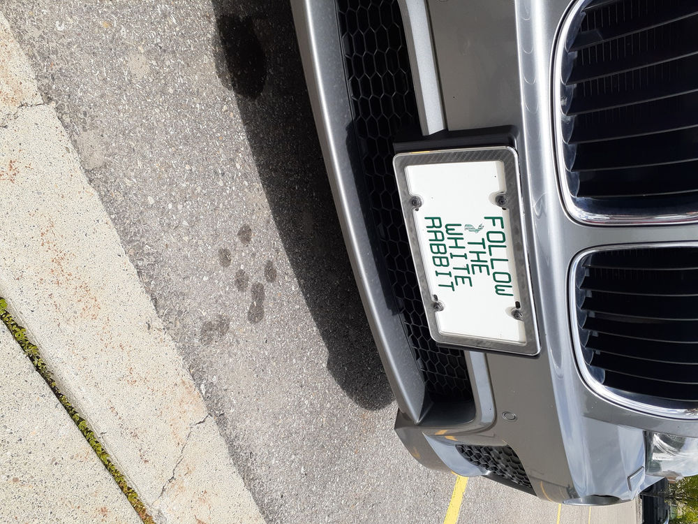 A GE license plate?? | New Seddleton