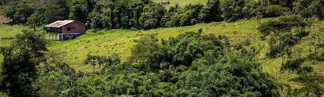 Reserva Legal: o que você precisa saber para ter uma