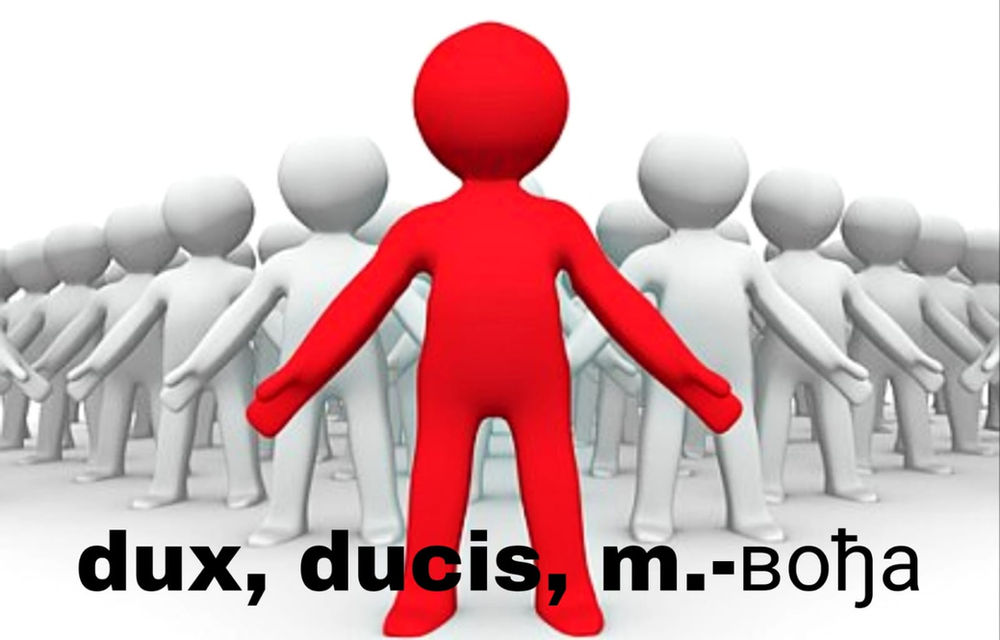 DUX | Latinski sa Nuvarom