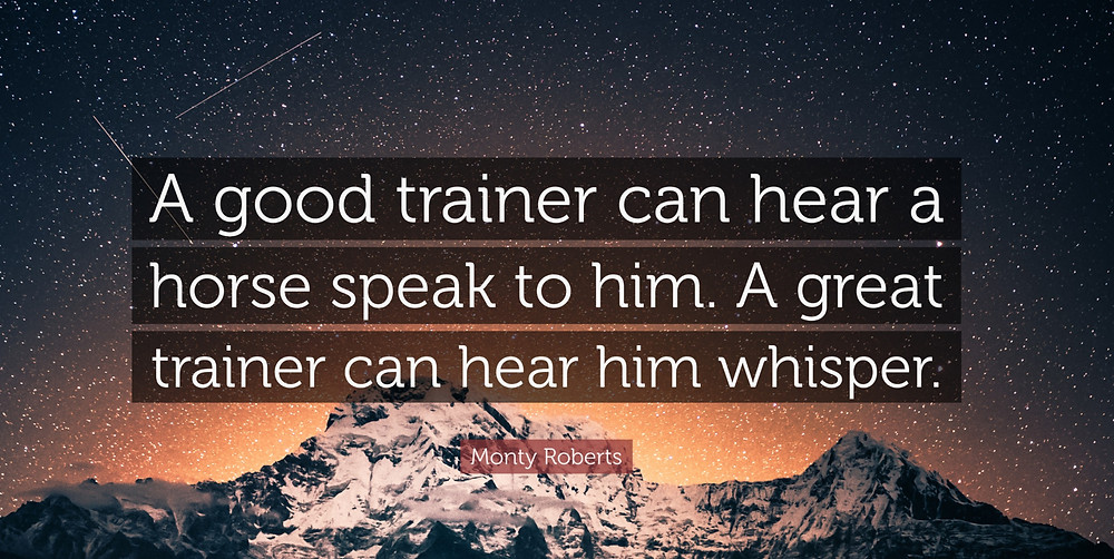 How to be a Great Trainer