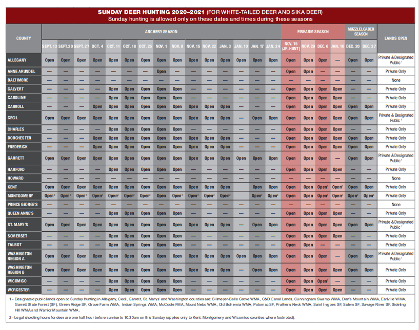 Maryland Straight Wall Cartridge Hunting: Essential Tips & Gear