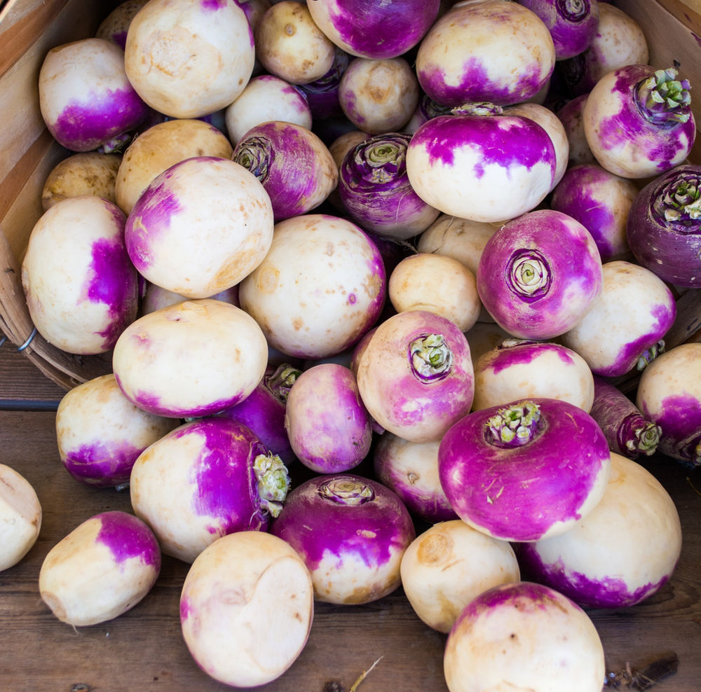 Fluffy Yellow Turnip