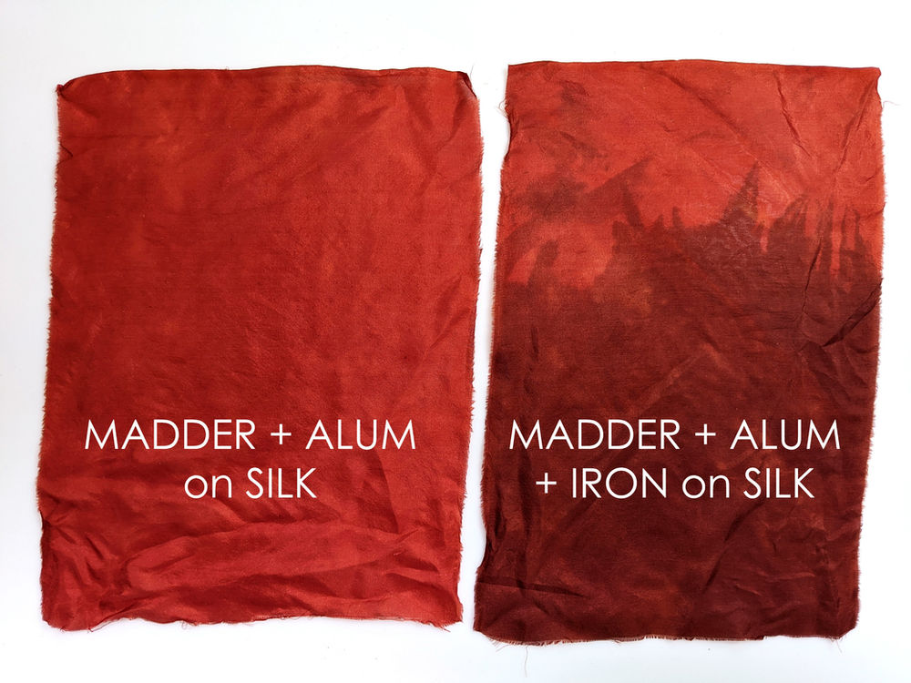 Madder ~ Natural Dye Results