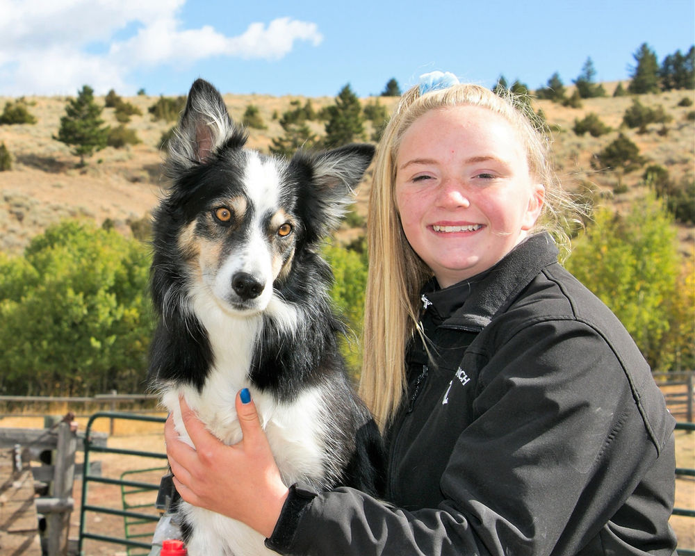Pippa At Almost 3 years! | gcrbordercollies
