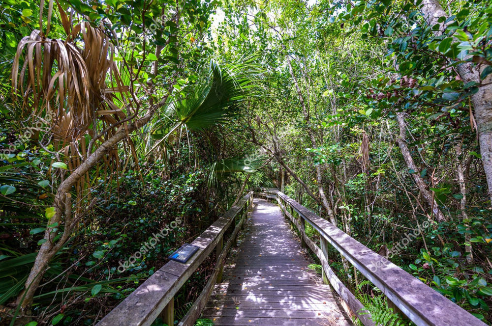 Best Hiking & Walking Trails in Miami
