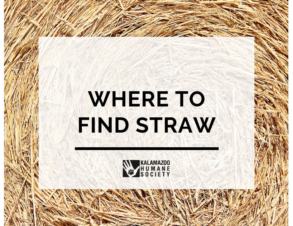 Where to find straw
