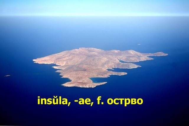 insula | Latinski sa Nuvarom