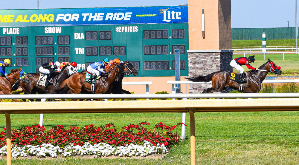 The "Levels" of Horse Racing