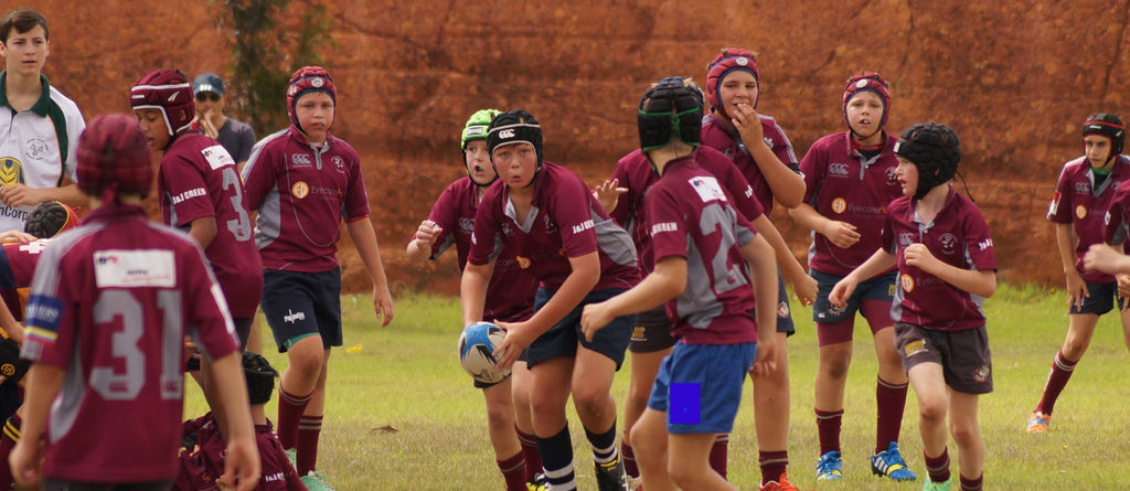 LATEST NEWS | Bears Rugby Club