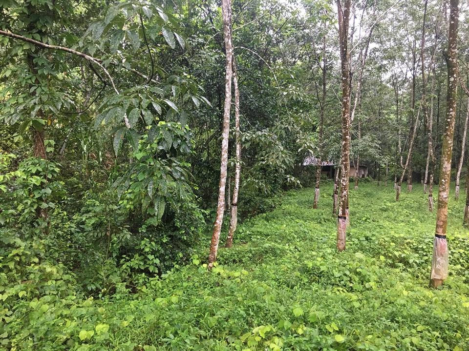 A 20 acre inherited land in a beautiful spot in Meepe, Padukka