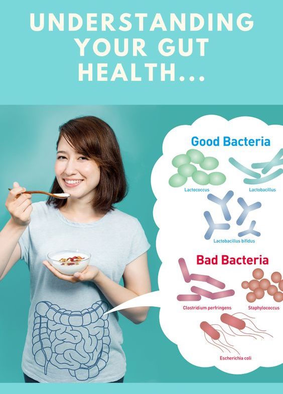 Good Bacteria for Your Gut | drchelson