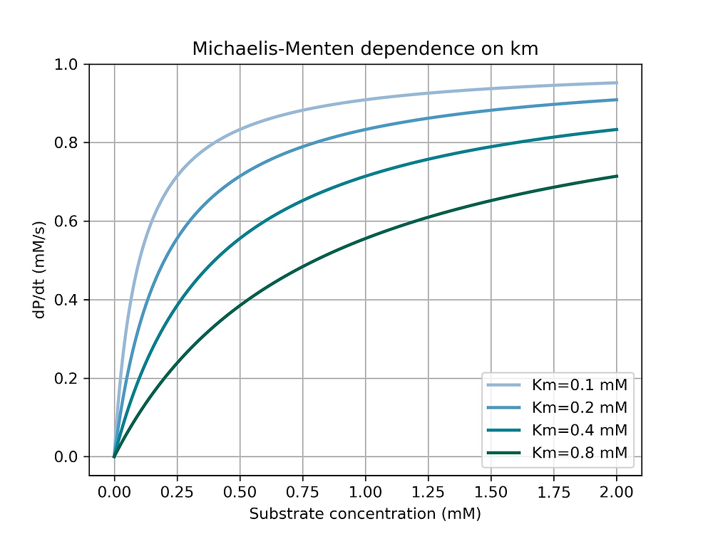 The Michaelis-Menten Enzyme Kinetics Model The Michaelis-Menten Enzyme Kinetics Model