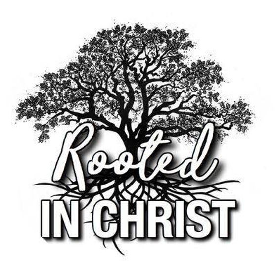 The Symbolism of Being Rooted in Christ - Lesson 5