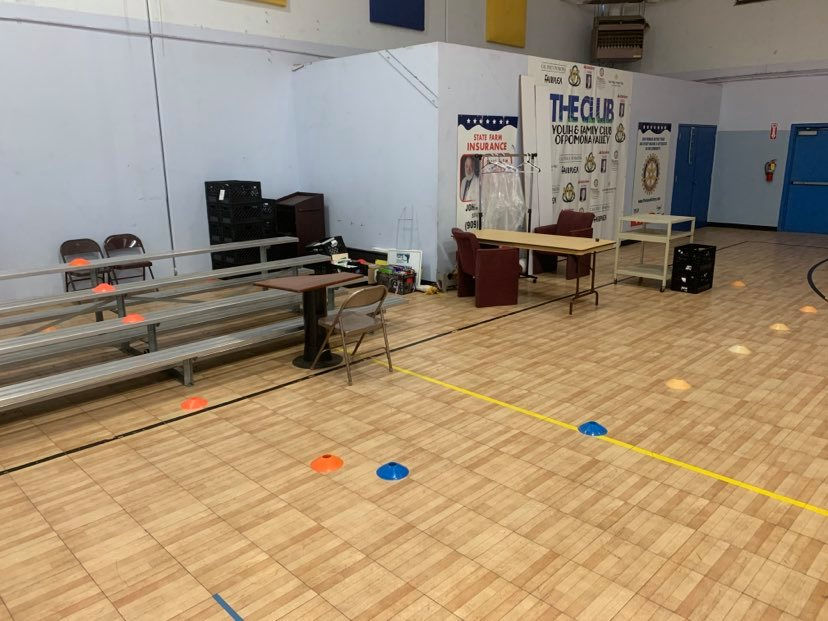 Scent Work Trials - What to Pack, What to Expect.