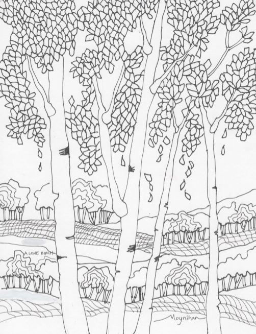 5 Creativity Exercises to increase your imagination, intuitiveness