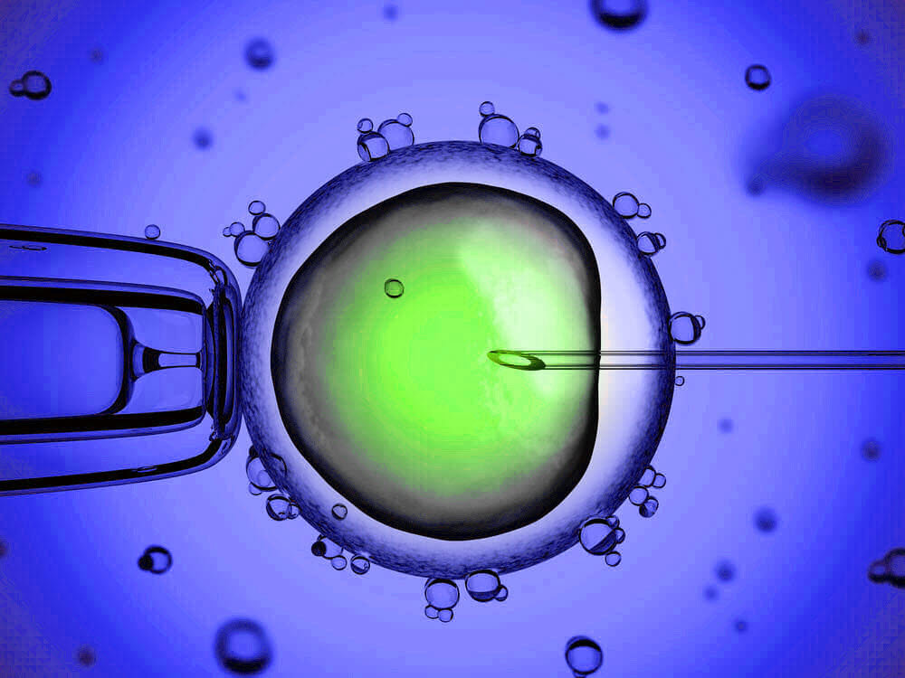 Biology A level Distance Learning