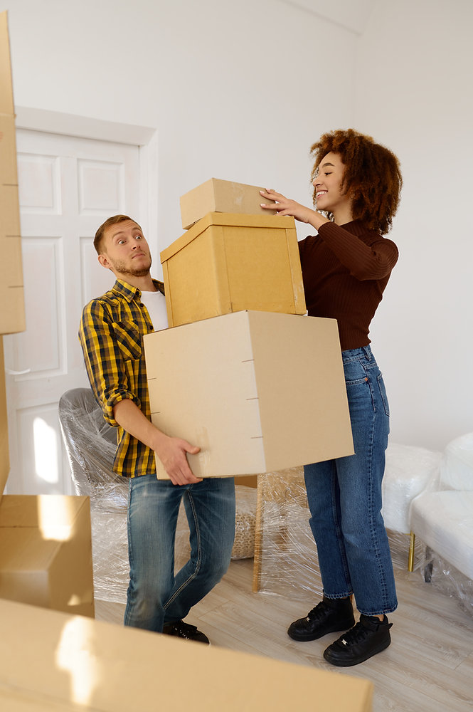 Uncovering the Importance of Plot Plans for First-Time Buyers of New ...