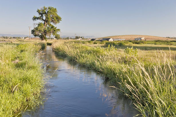 Colorado Water Shares & Ditch Rights - Longmont Realtor