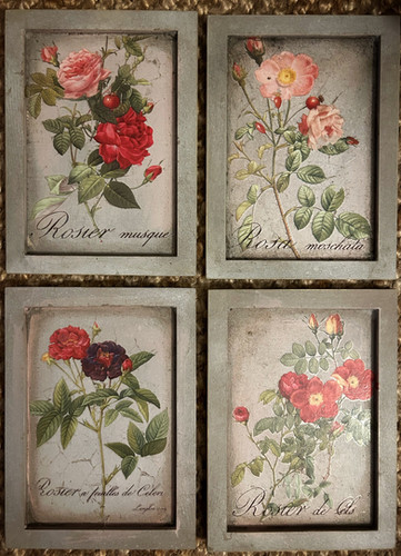 Rose Designs 4 Frames | Lisa B Designs
