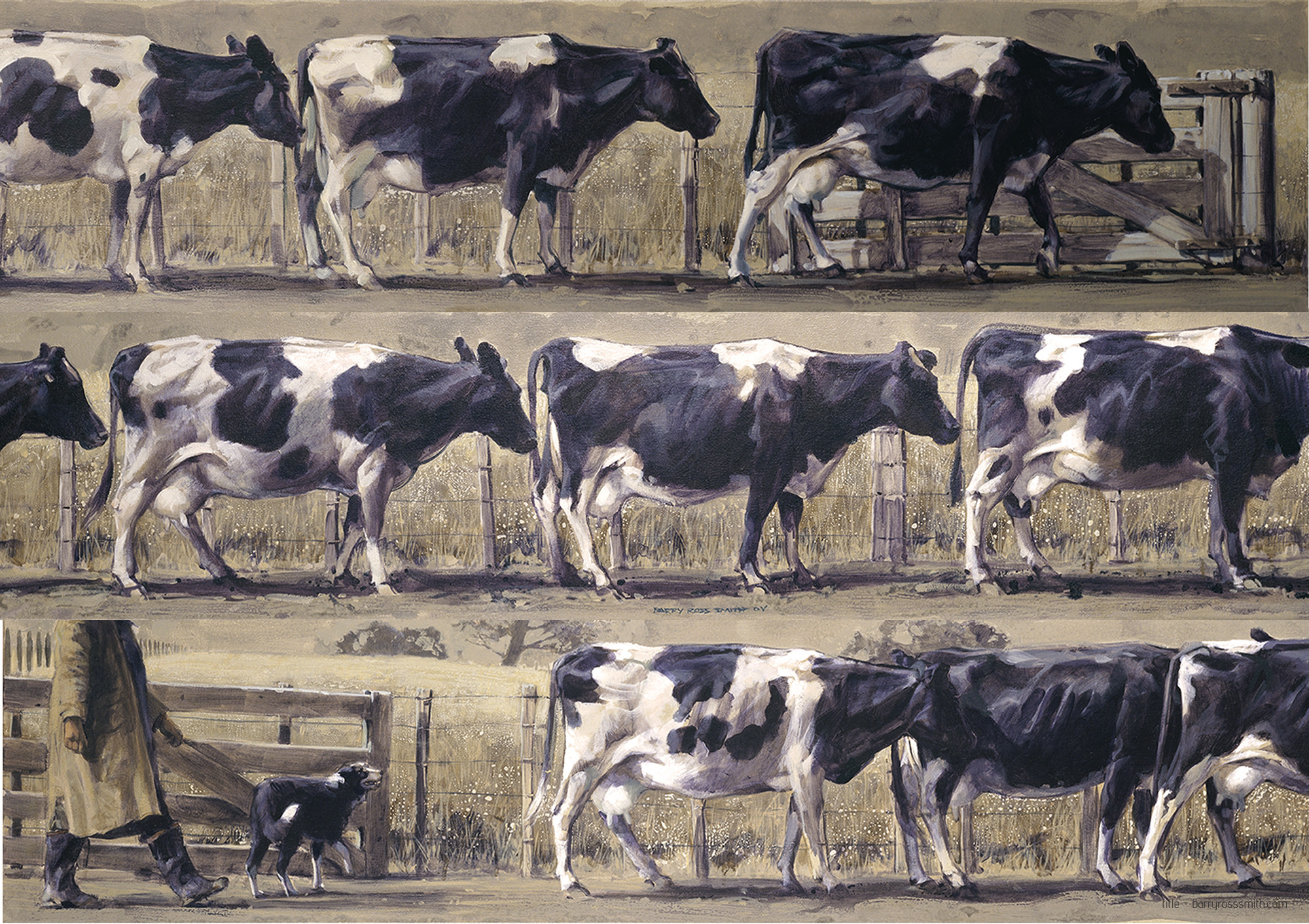 Friesian Frieze 1 - 3 | Barry Ross Smith