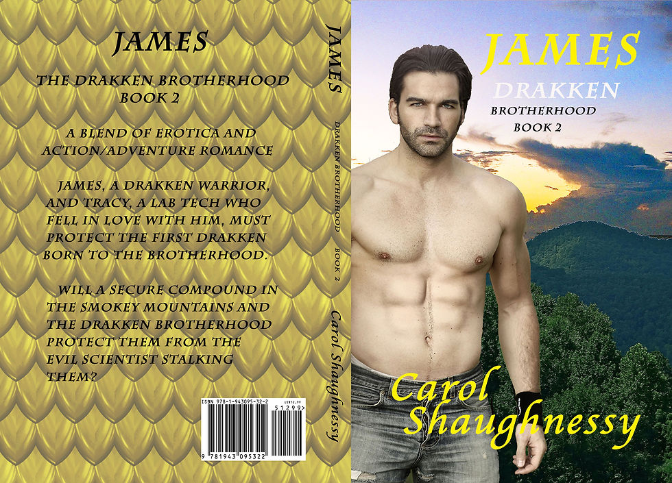 Carol Shaughnessy Book Covers | Gina Dyer MAIN