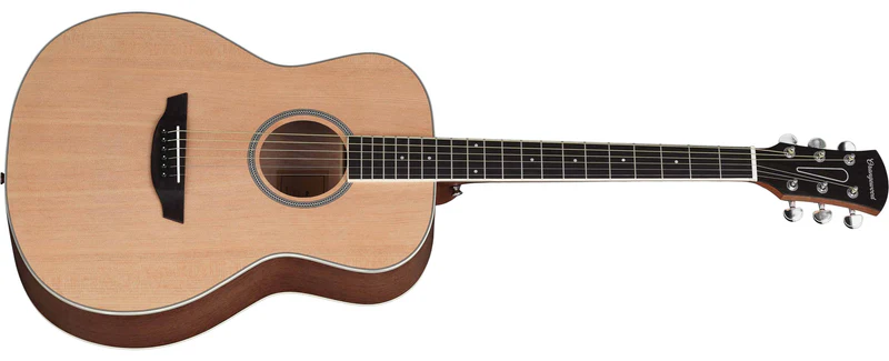 Orange Wood victoria S Acoustic Guitar | Reynold's Inc.