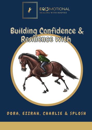 Building Confidence & Resilience Workbook | Equimotional