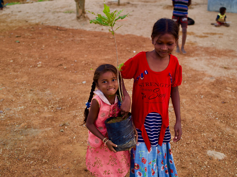 Lokaa Foundation | Creating Sustainable Communities